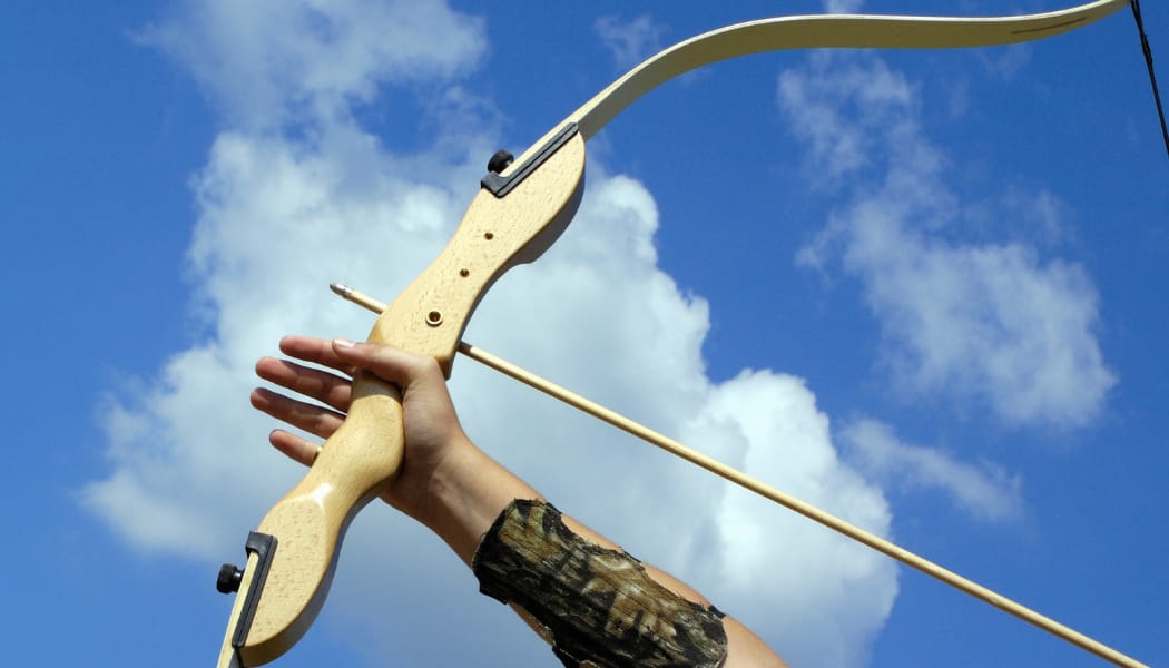 Armes Viking : l'Arc était-il Utilisé